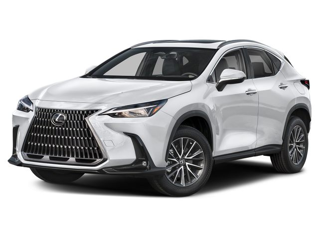 2025 Lexus NX 250 SUV Digital Showroom | Willis Automotive
