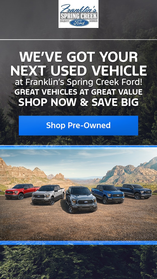 Spring Creek Ford Colquitt Ga
