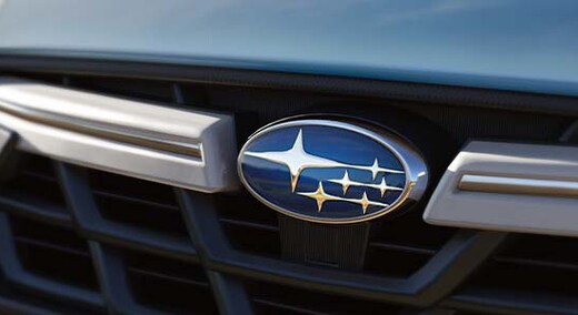 Subaru Flower Emblem | Best Flower Site